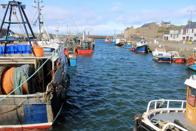 Retail Unit / Development Opportunity, 49-53 Grant Street, Burghead ...