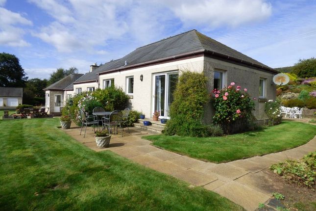 Charleton Estate, By Elie, Fife KY9, 4 bedroom detached house for sale ...
