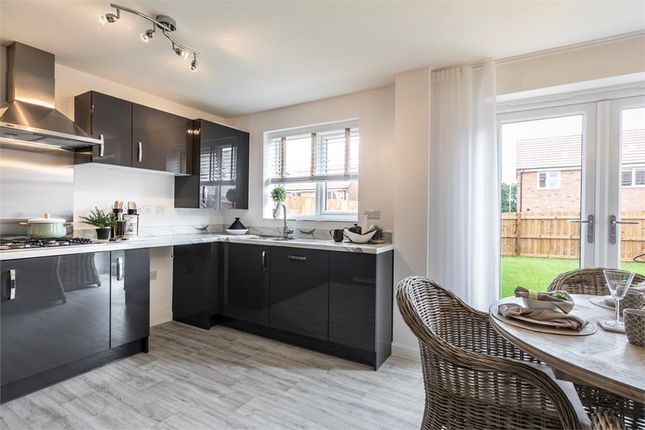 New home, 4 bed semi-detached house for sale in "Rolland" at "Rolland ...