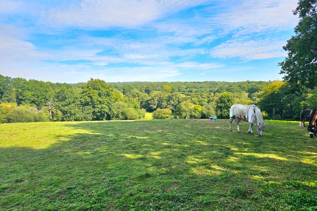 Old Forge Farm, Old Forge Lane, Horney Common, Uckfield TN22, 5 bedroom ...