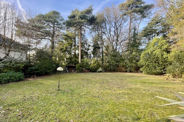 Berwick Road, Talbot Woods, Bournemouth BH3, 7 bedroom detached house ...