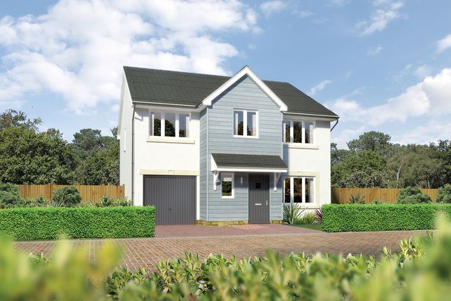 New home, 5 bed detached house for sale in "Heddon" at East Calder ...