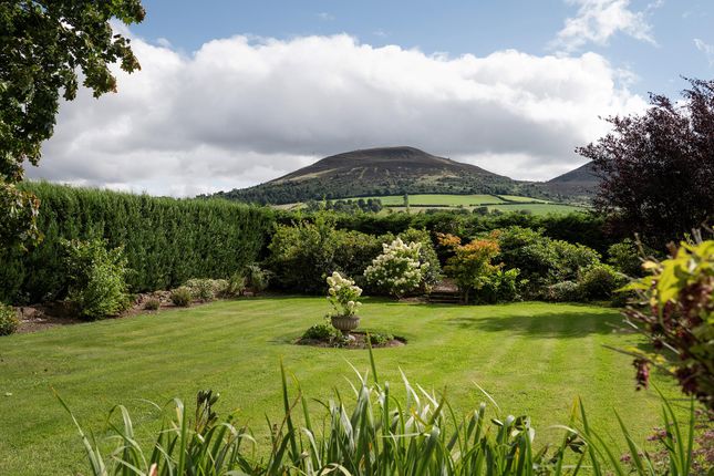 Gattonside, Melrose, Roxburghshire TD6, 8 bedroom detached house for ...