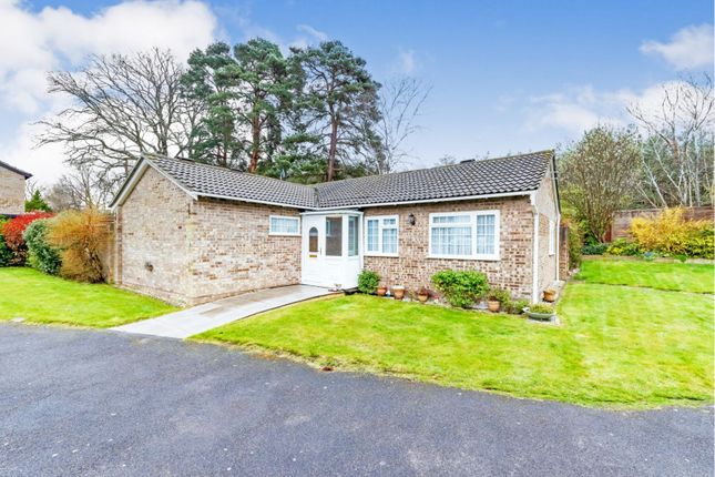 Peterhouse Close, Sandhurst GU47, 3 bedroom detached bungalow for sale ...