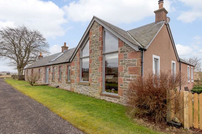 Homes for Sale in Angus - Buy Property in Angus - Primelocation