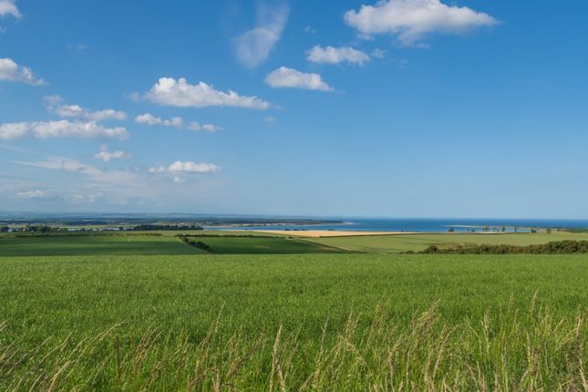 The Grove, High Road, Strathkinness KY16, 5 bedroom detached house for ...