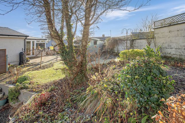 Sycamore Grove, Ackenthwaite LA7, 5 bedroom detached bungalow for sale ...