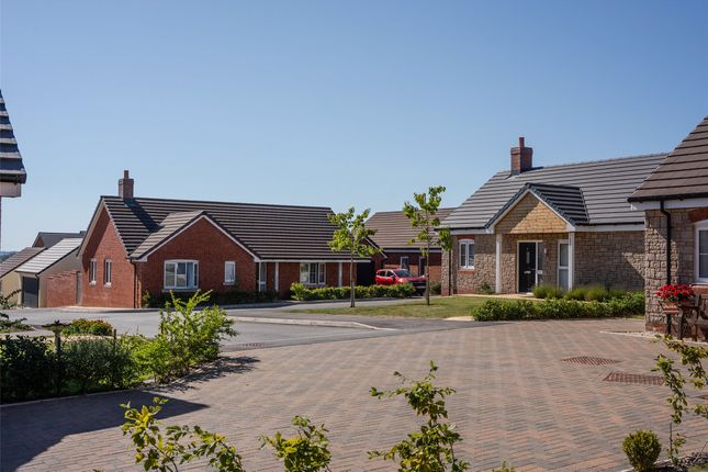 Bee Meadow, North Road, South Molton, Devon EX36, 3 bedroom bungalow ...