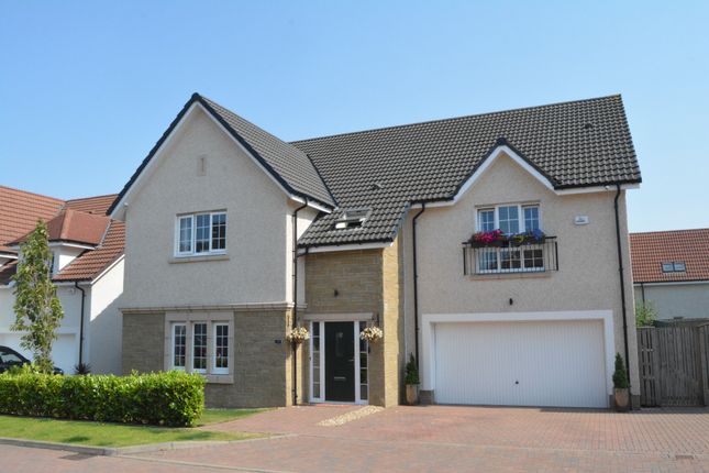Homes for Sale in Falkirk - Buy Property in Falkirk - Primelocation