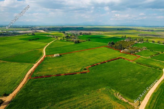 Avgorou, Famagusta, Cyprus, land for sale - 64029811 | PrimeLocation