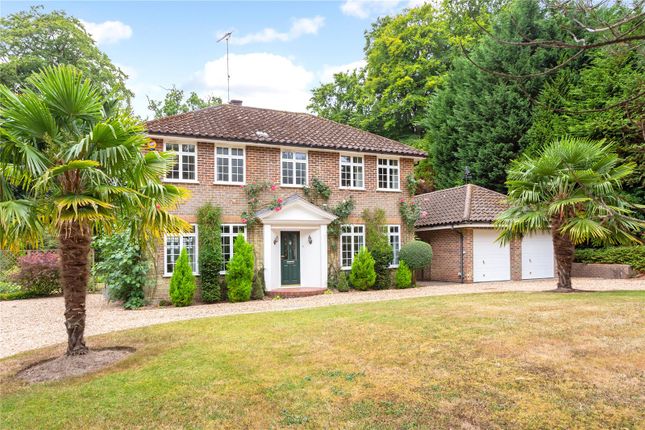 Homes for Sale in Haslemere - Buy Property in Haslemere - Primelocation