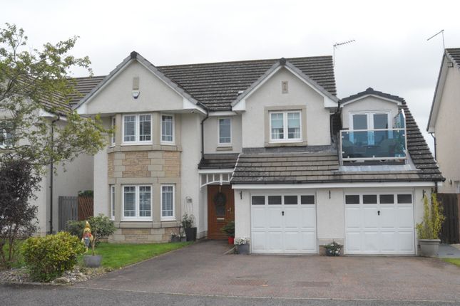 Homes for Sale in Falkirk - Buy Property in Falkirk - Primelocation