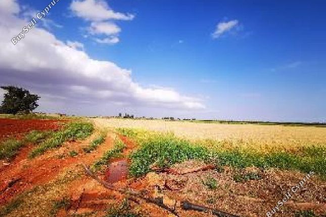 Avgorou, Famagusta, Cyprus, land for sale - 65489895 | PrimeLocation