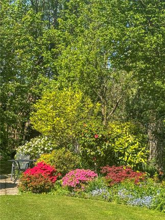 Salisbury Road, Moseley, Birmingham B13, 4 bedroom semi-detached house ...