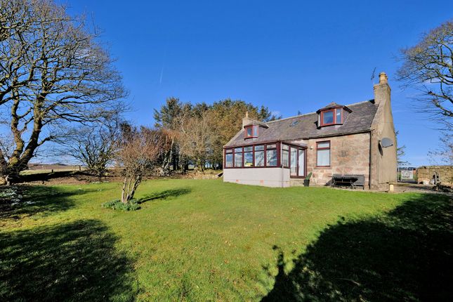 Hatton, Peterhead AB42, farm for sale - 66915729 | PrimeLocation