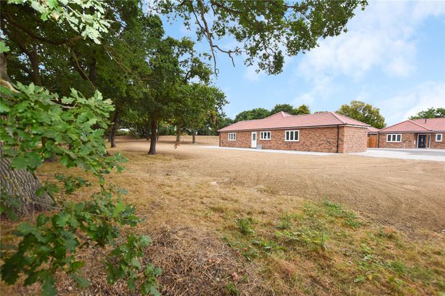 Woodham Road, Battlesbridge, Wickford, Essex SS11, 3 bedroom bungalow ...