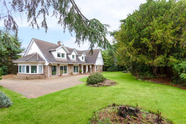 Homes for Sale in Warren Road, Coombe, Kingston upon Thames KT2 - Buy ...