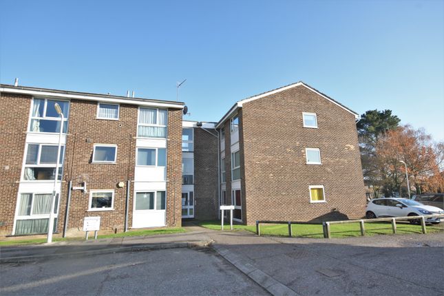 Azalea Court, Springfield, Chelmsford CM1, 2 bedroom flat to rent ...