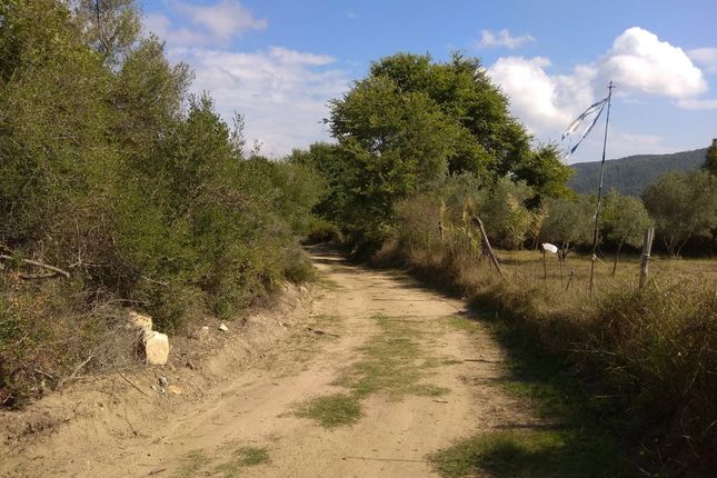Agion Oros, Kilkis, Gr, land for sale - 69598131 | PrimeLocation