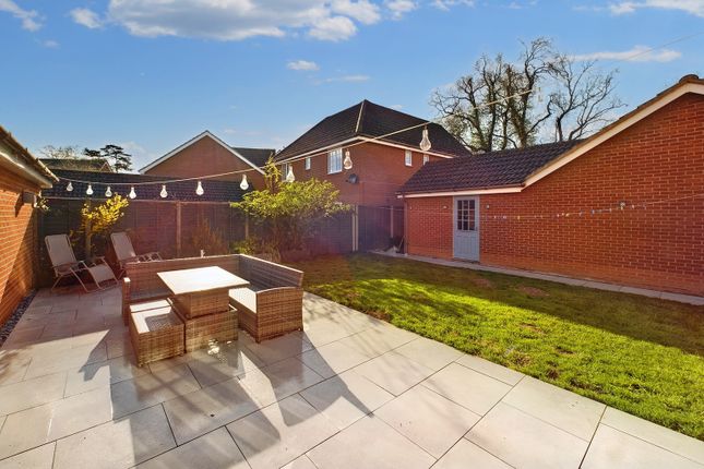 Mallow Road, Thetford, Norfolk IP24, 6 bedroom link-detached house for ...