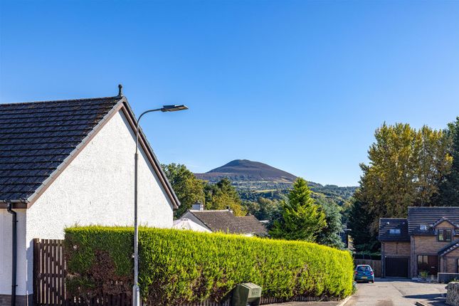 7 Montgomerie Terrace, Gattonside, Melrose TD6, 4 bedroom detached ...