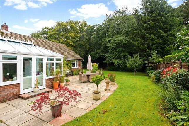 Wolverton Common, Tadley, Hampshire RG26, 4 bedroom bungalow for sale ...
