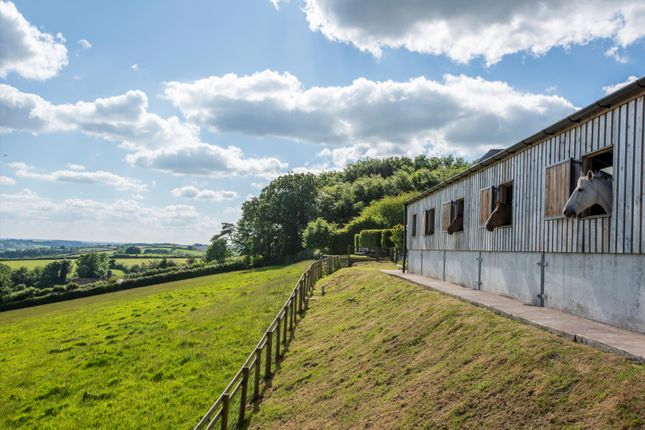Overwell Farm, West Anstey, South Molton, Devon EX36, 8 bedroom ...