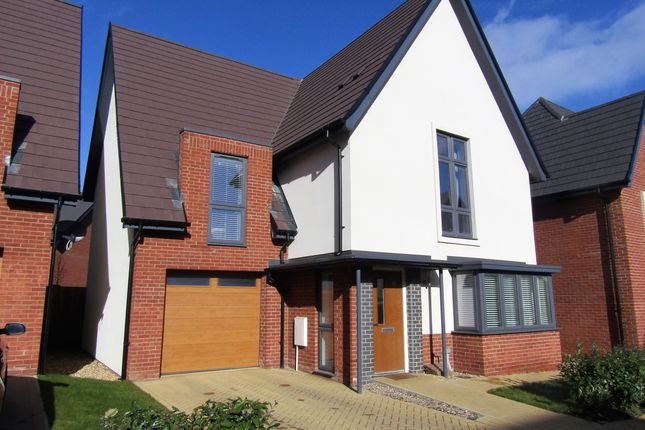 Homes to Let in Daventry - Rent Property in Daventry - Primelocation