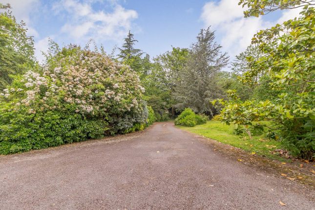 Mitchel Troy, Monmouth, Monmouthshire NP25, 5 bedroom detached house ...