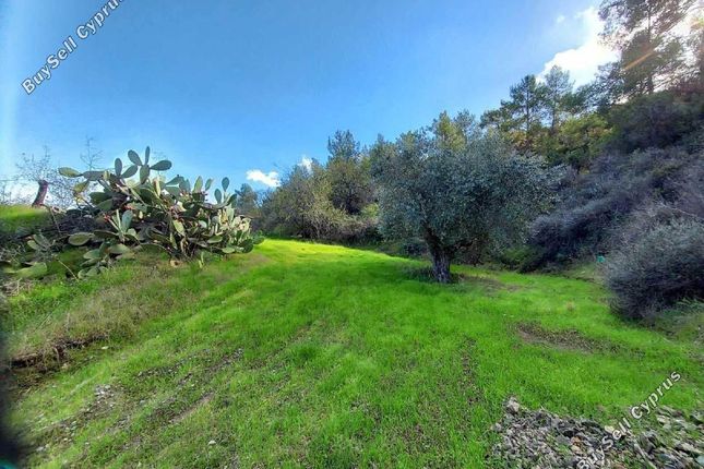 Asgata, Limassol, Cyprus, land for sale - 69624405 | PrimeLocation