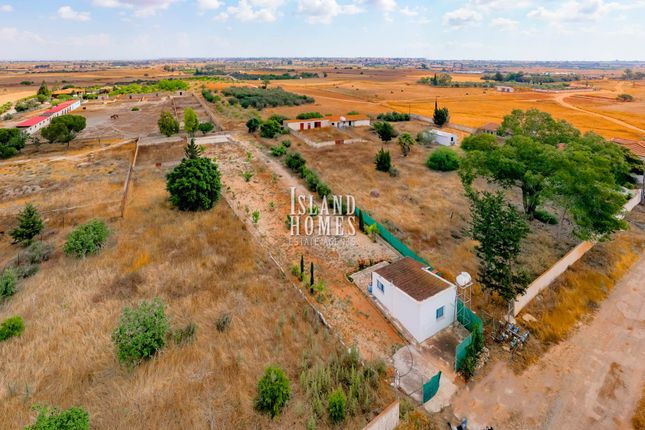 Frenaros, Cyprus, land for sale - 67481242 | PrimeLocation