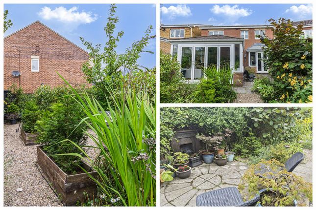 Quarry Dale View, Mansfield NG18, 4 bedroom detached house for sale ...