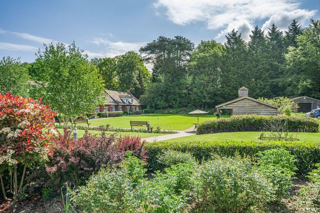 Fonteyn House, Charters Village Drive, East Grinstead, West Sussex RH19 ...