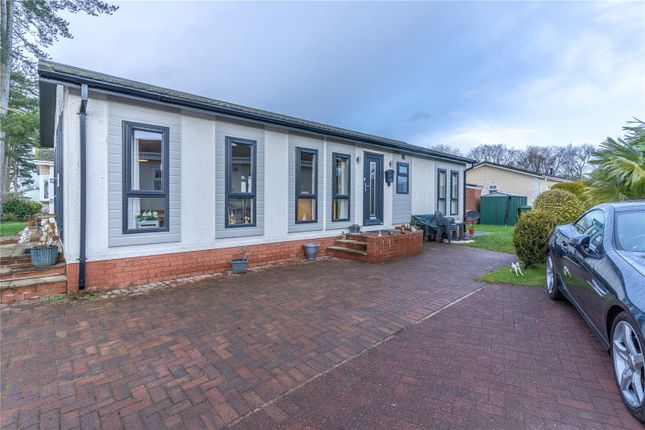 Homes for Sale in Albrighton, West Midlands - Buy Property in ...