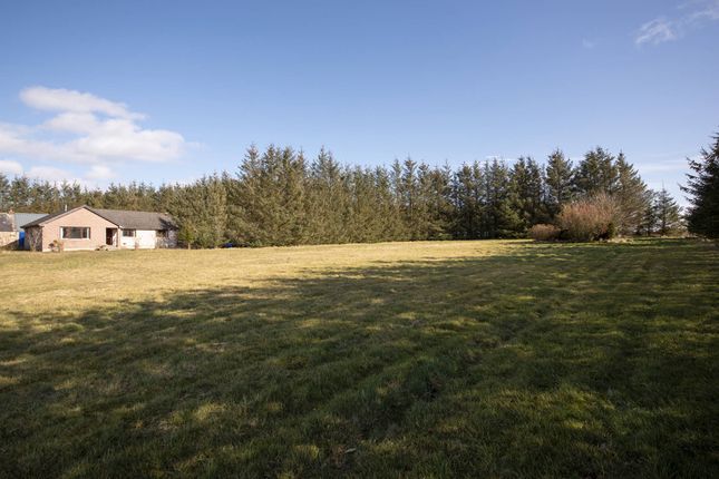 New Byth, Turriff, Aberdeenshire AB53, 4 bedroom bungalow for sale ...