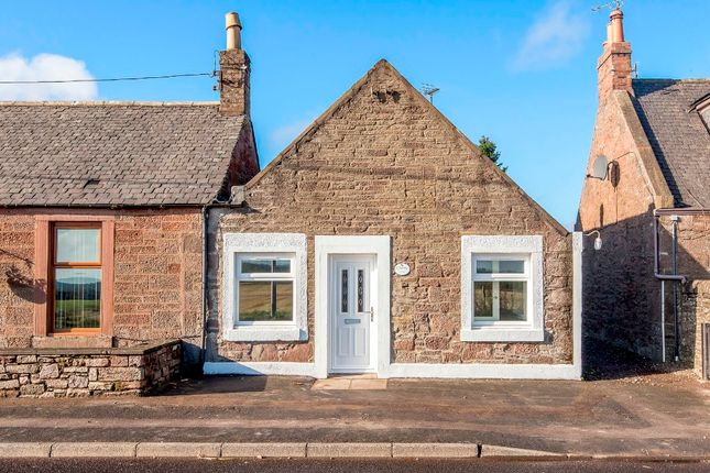 Homes to Let in Angus - Rent Property in Angus - Primelocation