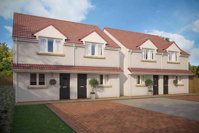 New home, 2 bed semi-detached house for sale in Blackhorse Road ...