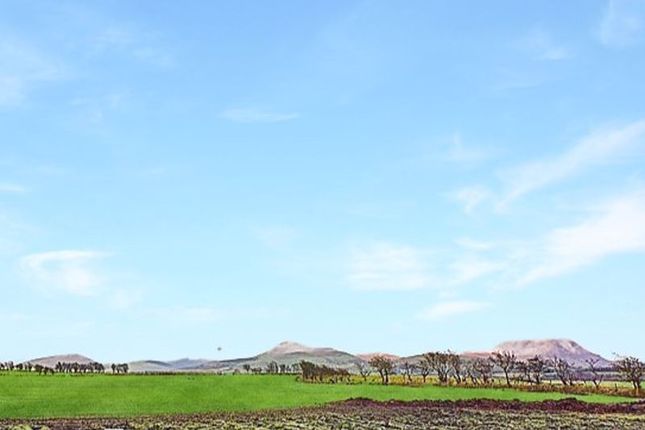 Photos of Mona Street, Arlecdon, Frizington CA26 - 69036175 | PrimeLocation