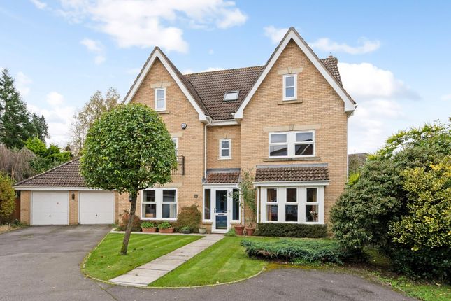 Homes for Sale in Liphook - Buy Property in Liphook - Primelocation