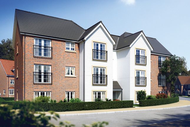 Daventry new homes for sale - Buy new homes in Daventry - Primelocation