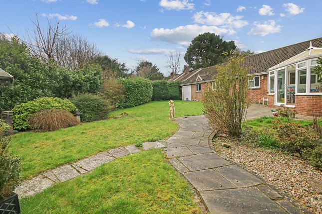 Green Hedges Close, East Grinstead RH19, 4 bedroom detached bungalow ...