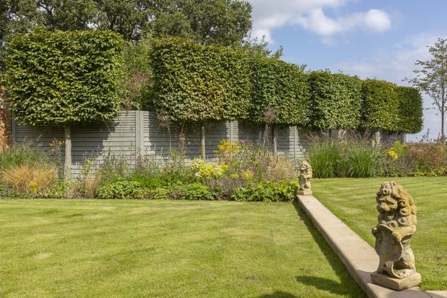 The Street, Shurlock Row, Reading RG10, 4 bedroom detached house to ...