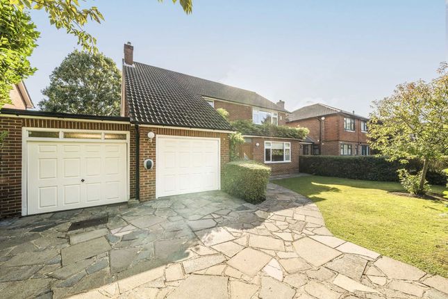 Living in New Malden: area guide - Zoopla