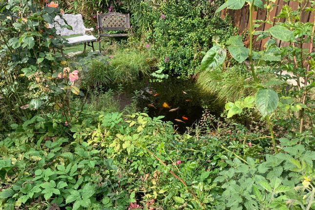 High Street, Strichen AB43, 3 bedroom terraced house for sale ...