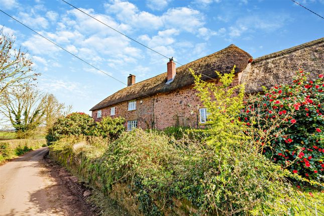 Knowle, Cullompton, Devon EX15, 5 bedroom detached house for sale ...