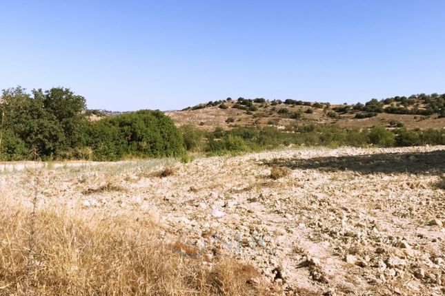 Lemona, Paphos, Cyprus, land for sale - 62593562 | PrimeLocation