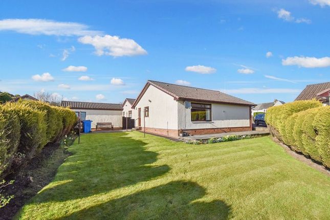 Coneypark Place, Banknock, Bonnybridge FK4, 3 bedroom detached bungalow ...