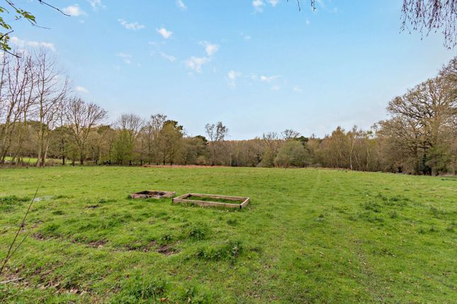 Grouse Road, Colgate, Horsham, West Sussex RH13, 6 bedroom detached ...