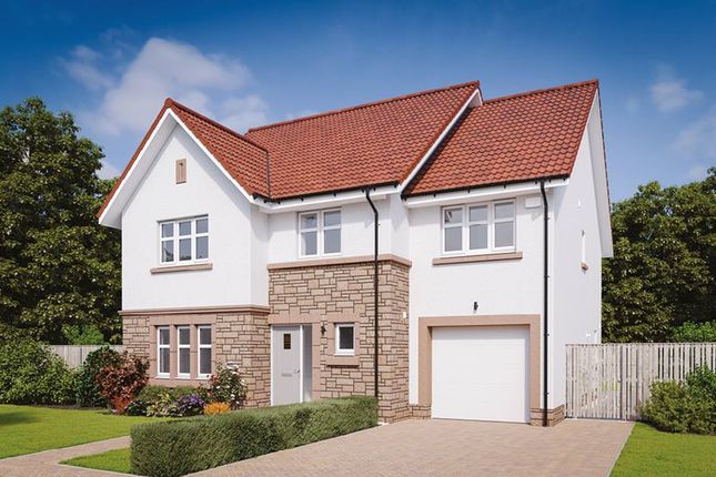 Homes for Sale in Falkirk - Buy Property in Falkirk - Primelocation