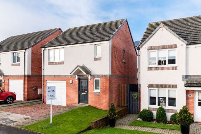 Houses for Sale in Larbert - Larbert Houses to Buy - Primelocation